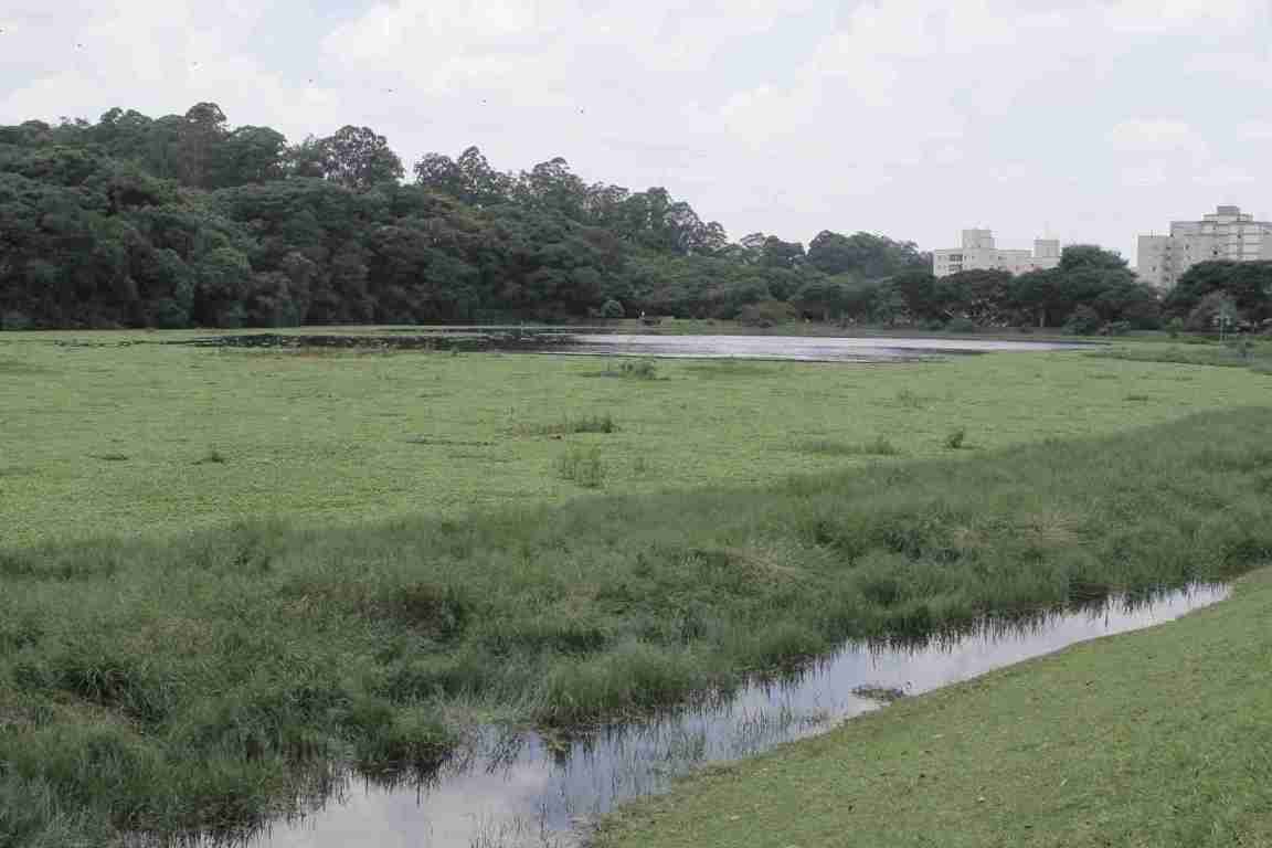 Visita do Secretário do Verde e Meio Ambiente ao Parque Toronto nesta ...